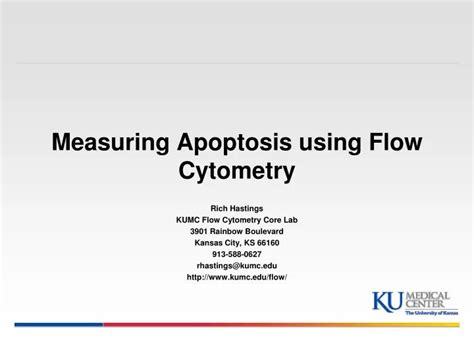 Ppt Measuring Apoptosis Using Flow Cytometry Powerpoint Presentation