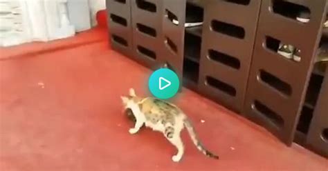 I Find This Really Cool Everyone Is Welcome Album On Imgur