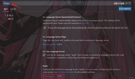 Vscode配置Golang代码高亮备忘录 vscode golang gopls CSDN博客