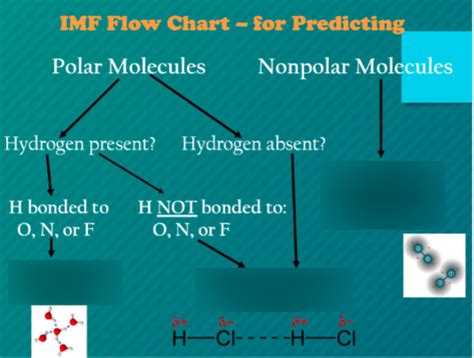 Regular Chemistry Unit 4 Imfs Diagram Quizlet