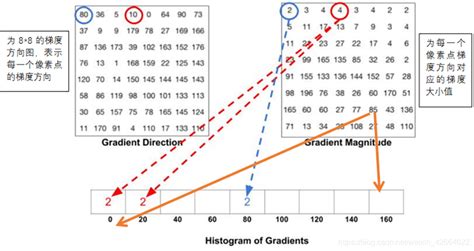 hog特征计算及实现（python） hog特征python csdn博客