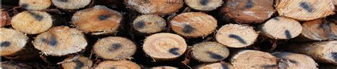 Reforming Australias Illegal Logging Laws Department Of Agriculture Fisheries And Forestry