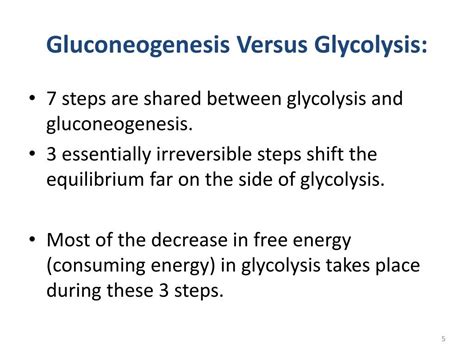 Ppt Gluconeogenesis Powerpoint Presentation Free Download Id497671