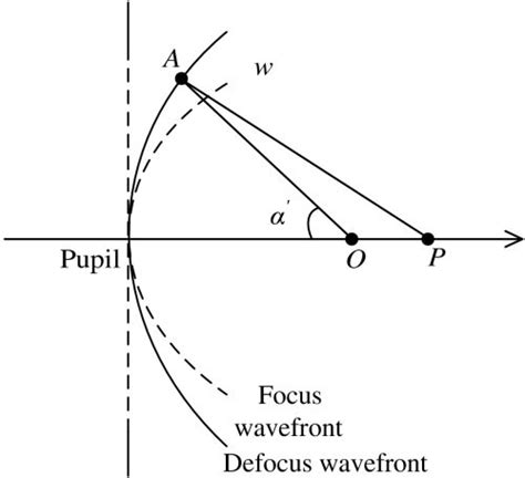 Optical Image Of An Atomic Force Microscope Cantilever Download Scientific Diagram