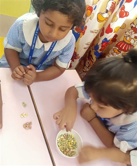Sortingmatchinggrouping Activity Naval Kg School Mankhurd