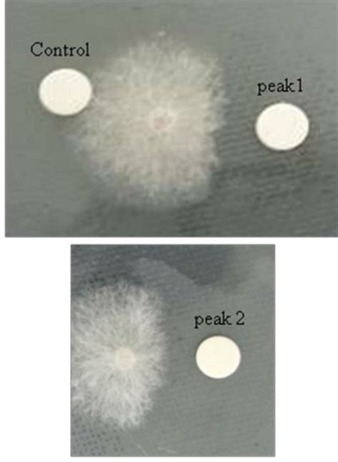 Elution Profile Of Sr146 Antifungal Compunds Using Hplc Reverse Phase