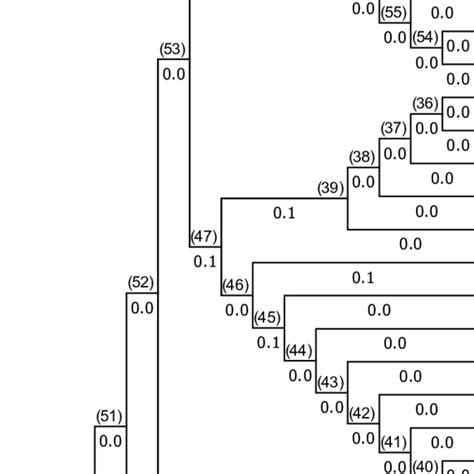 Phylogenetic Relationships Of Isolates Based On 16s Rdna Sequence And