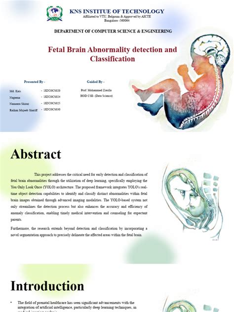 fetal brain abnormalities and classification 7 v7 pdf deep learning