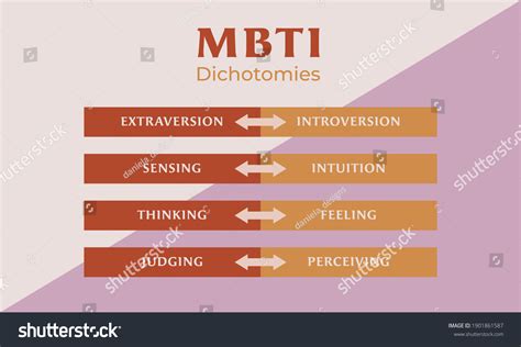MBTI Test Dichotomies Introversion Extraversion Royalty Free Stock Vector Avopix