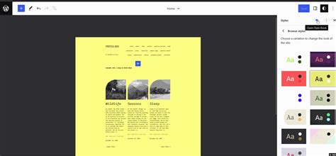 Style Book Inconsistent Preview Of Custom Html Widget Between Styles Variations · Issue 48152