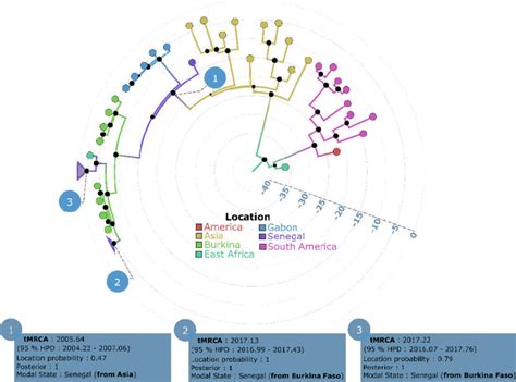 Bayesian Discrete Phylogeography Based On Nearly Complete Genome Of Download Scientific Diagram