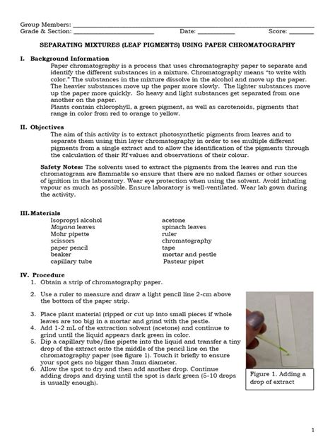 Paper Chromatography Experiment Pdf Chromatography Solvent