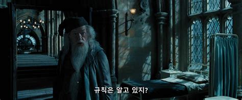 영화 해리포터와 아즈카반의 죄수가 해리포터 시리즈 중 인기가 많은 이유 인스티즈 instiz 인티포털 카테고리