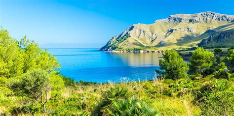 Entdecken Sie Alles Was Die Bucht Von Pollensa Zu Bieten Hat Blog Von Mallorca