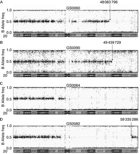 array cgh snp genotyping of the patients analyzed chromosome 20 plot