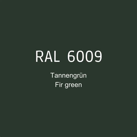 1-K Base Coat RAL 6009 Tannengrün