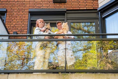 Roos En Eric Betalen 1650 Euro Zodat Hun Katten Tóch Balkon Op Kunnen