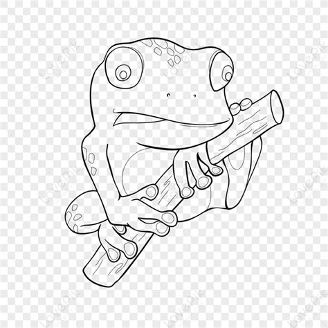 흑백 일러스트 개구리백색하양색클립 아트 Png 일러스트 무료 다운로드 Lovepik