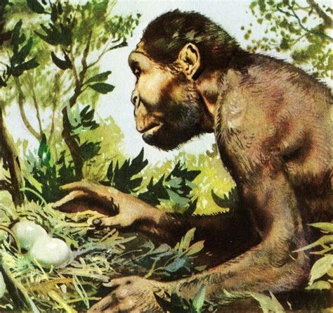 Australopithecus Food