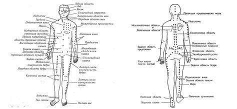 Акупунктурная схема человека