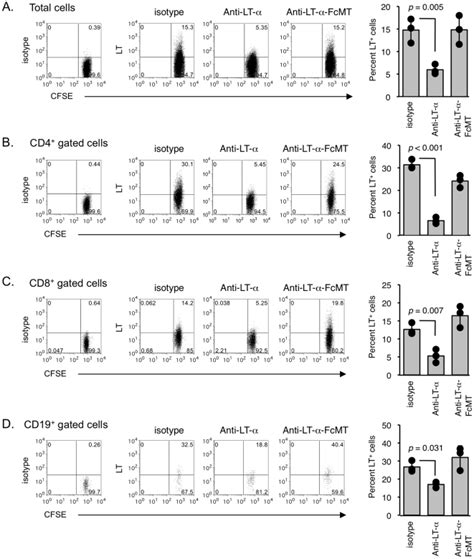 Spleens Were Harvested From Scid Mice Two Days Following Intrasplenic Download Scientific