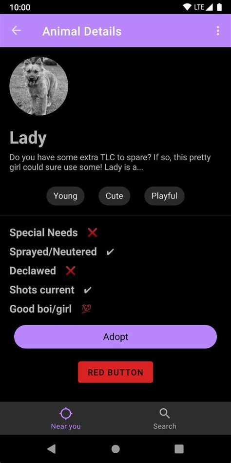 Real World Android By Tutorials Chapter 14 Style And Theme Kodeco