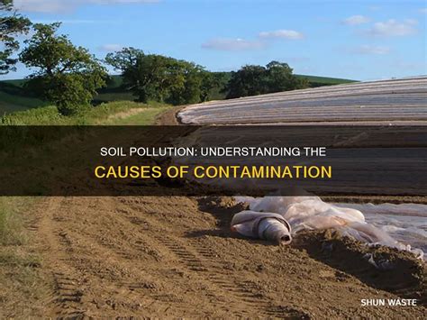 Soil Pollution Understanding The Causes Of Contamination ShunWaste