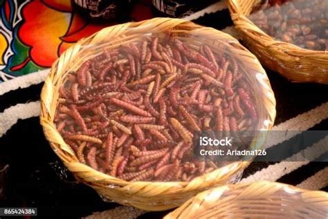 용 설 란 벌레에 멕시코 현지 시장 식용 곤충 양식 멕시코에서 오 악 사 카 주 벌레에 대한 스톡 사진 및 기타 이미지 벌레