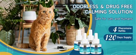 Woyamay Cat Calming Diffuser Refills 4 Pack Cat