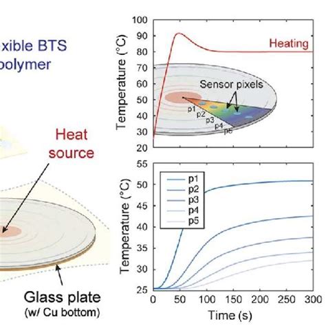 Temperature Sensing Array Based On Flexible Bts Polymer A Schematic