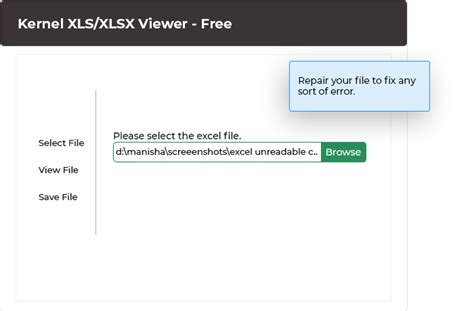 Free XLS XLSX Viewer Tool View Read Excel Files Easily