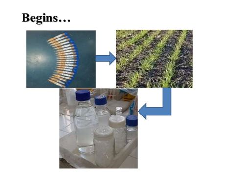 Rna Dna Isolation And Cdna Synthesis Pptx