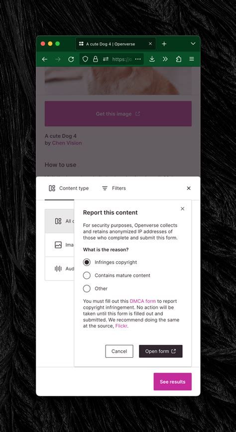 content report popover appears over the pages modal · issue 569