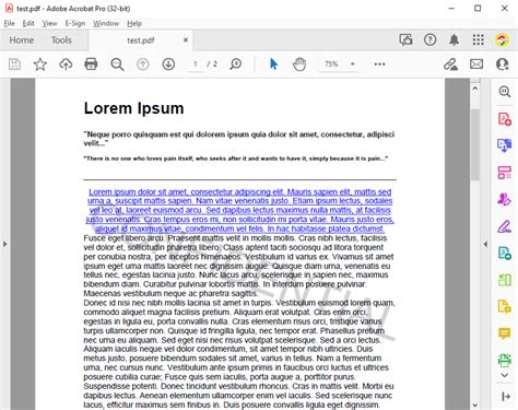 generating and adding watermarks to documents using c