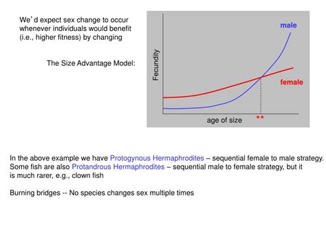 PPT Alternative Reproductive Strategies PowerPoint Presentation Free Download ID