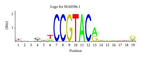 Sequence Logos Of Overrepresented Sequences In The Promoters Of Genes