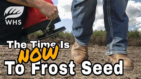 Fall Frost Seeding Switchgrass And Pollinator Youtube