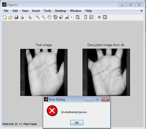 biometric security system using palmprint and cryptanalysis