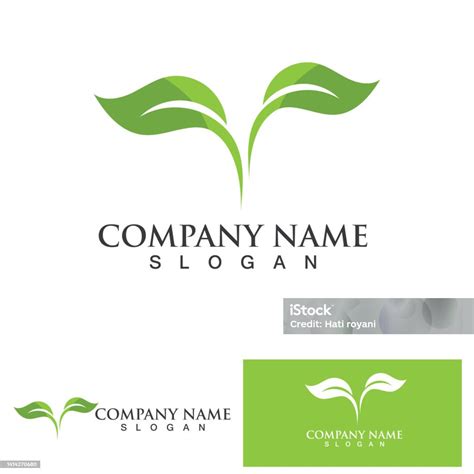 잎 상징을 가진 에코 에너지 벡터 로고 플래시 또는 천둥 그래픽과 녹색 색상 자연과 전기 재생 가능 이 로고는 기술 재활용 유기농에 적합합니다 구근 식물에 대한 스톡 벡터