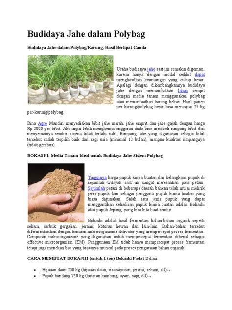 Budidaya Jahe dalam Polybag | PDF