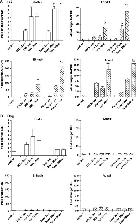 Quantitative Measurement Of Selected Target Gene Transcripts By Download Scientific Diagram