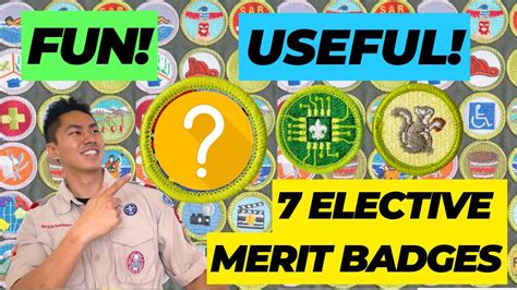 What Elective Merit Badges Should You Earn My Fun Interesting And