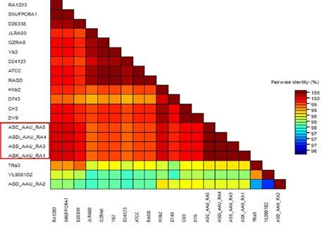Pairwise Identity Matrix Of 16s Rrna Gene Sequences Of Various R