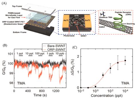 Microfluidic Gas Sensors Detection Principle And Applications