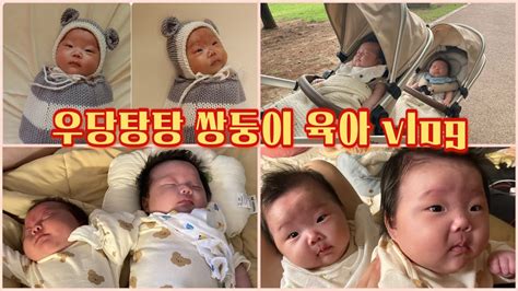 쌍둥이 육아 Vlog 힘듦은 두배지만 행복은 백배 천배 ️ 50일촬영 분리수면 통잠 수영놀이 쌍둥이유모차 백일상 현실 육아 👶🏻👶🏻 Youtube