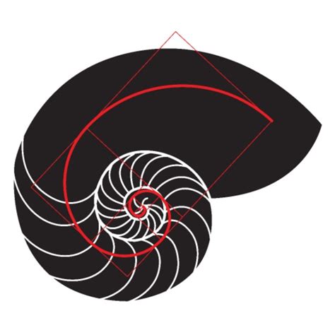 Nautilus Shell In Math Nautilus Shell Castle Fabonaccilogarithmic