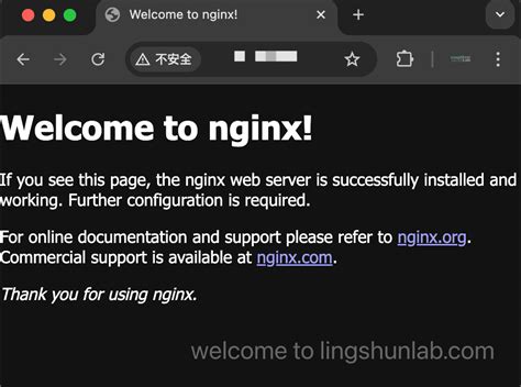 在 Ubuntu 2404 上安装和配置 Nginx，php 和 Mysql 的完整指南 凌顺实验室