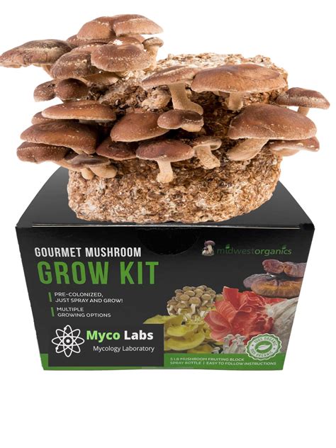 Shiitake Mushroom Grow Kit 5lbs Max Yield Bins
