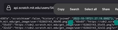 Account Join Date Glitch When Using Scratch Api Discuss Scratch