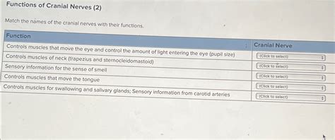 Solved Functions Of Cranial Nerves Match The Names Of The Chegg